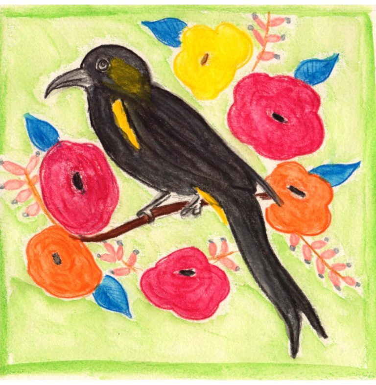 First and Last Songs: The Extinct Song of the Kaua‘i ‘Ö‘ö - The Rumpus