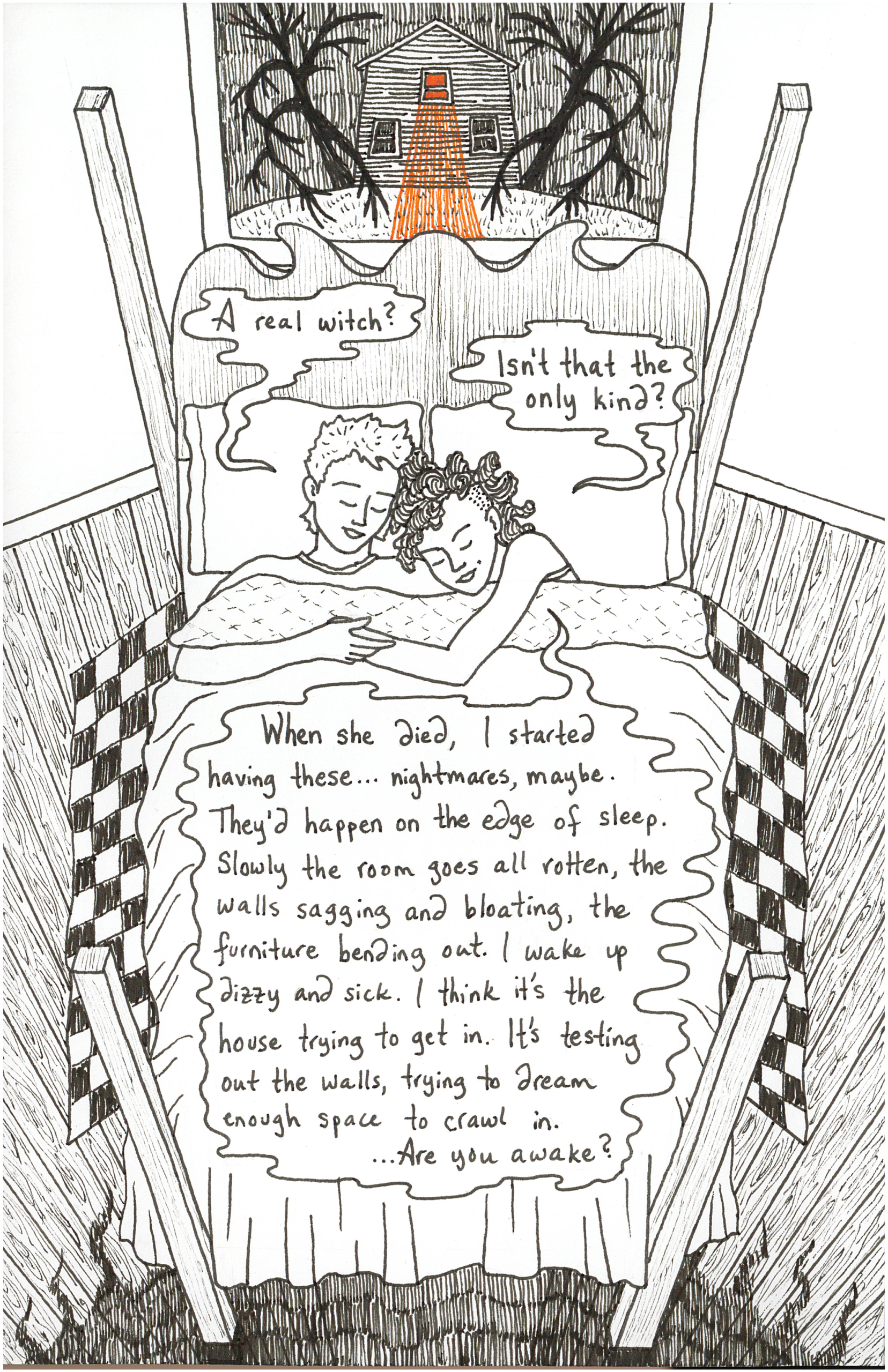 Which House - The Rumpus